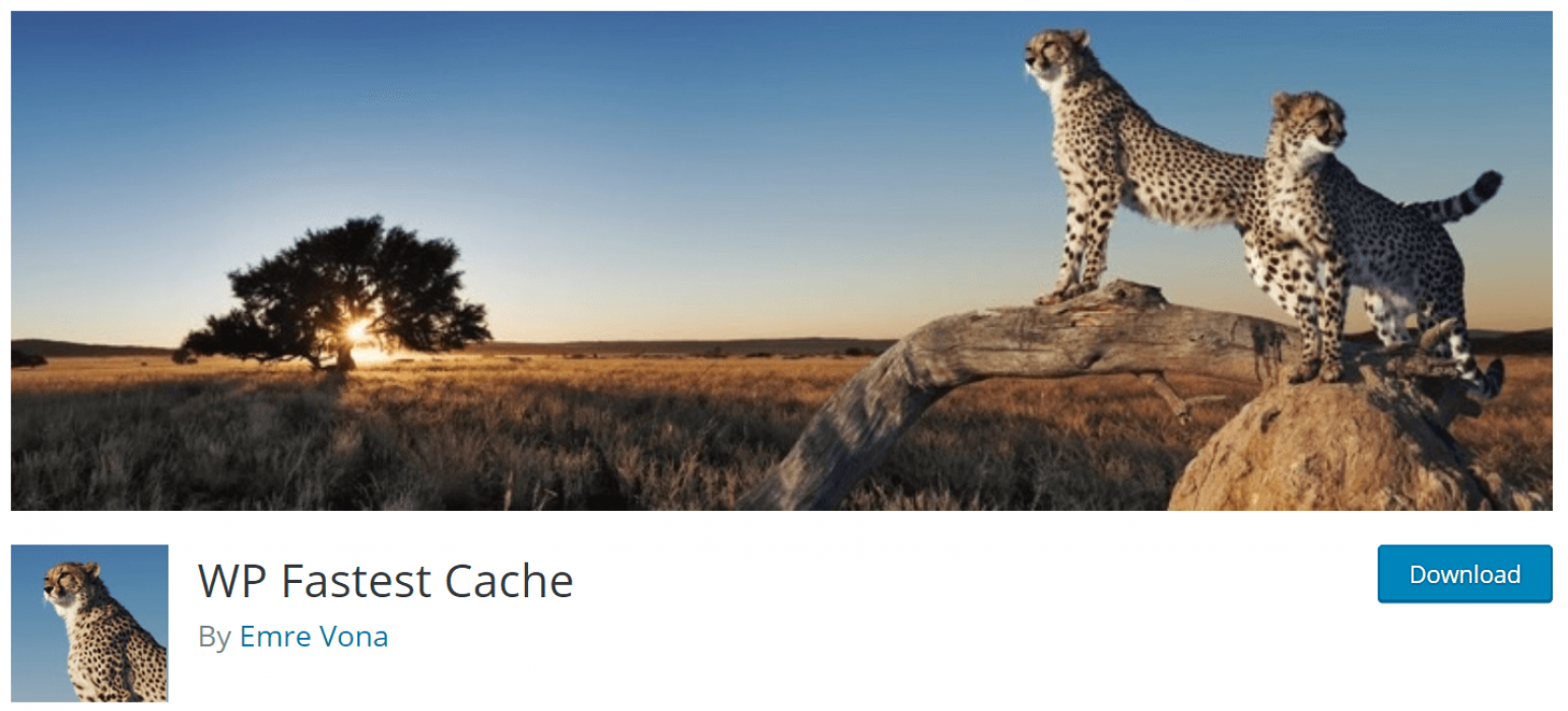 How to Optimize WordPress Website for Better Page Speed? - WP Logout