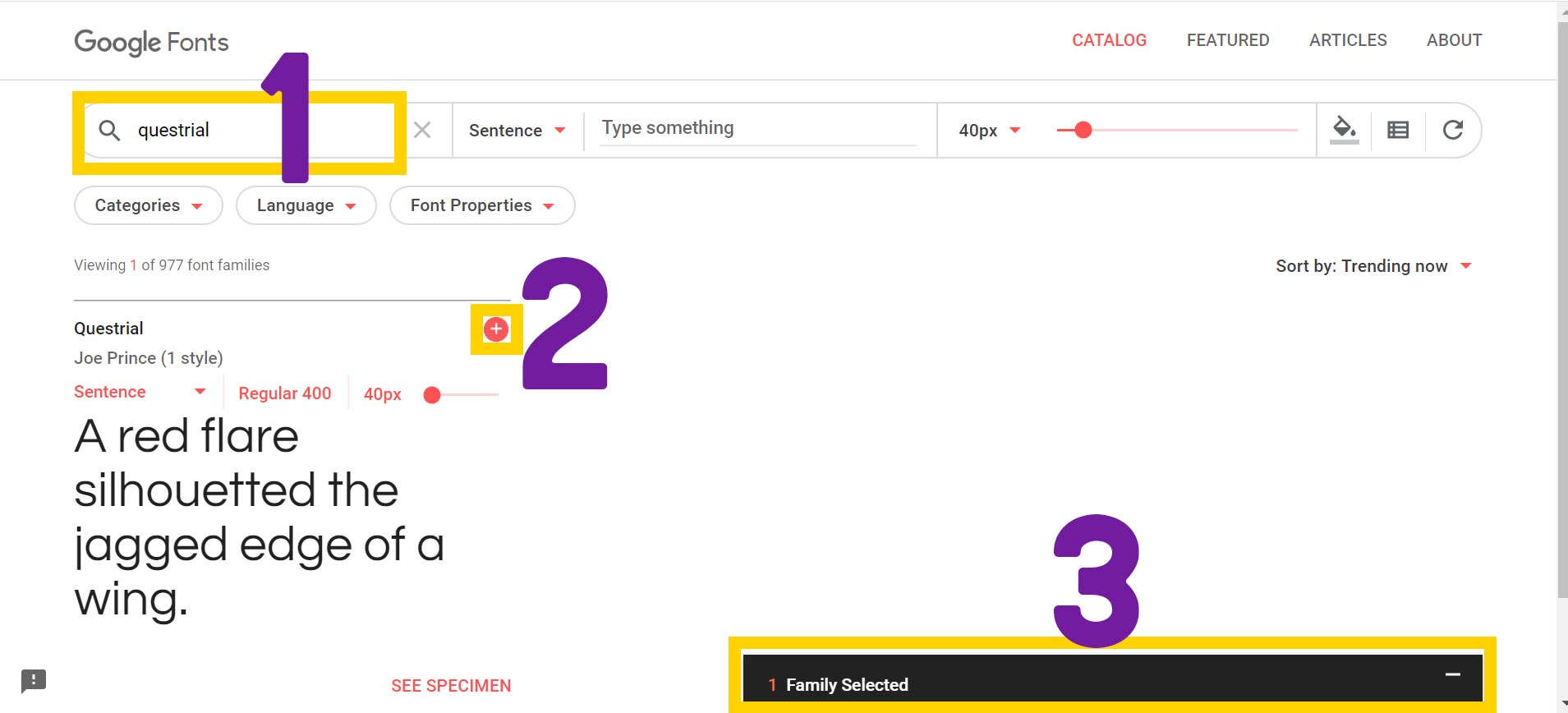 How to Host Google Fonts Locally in WordPress? - WPLogout